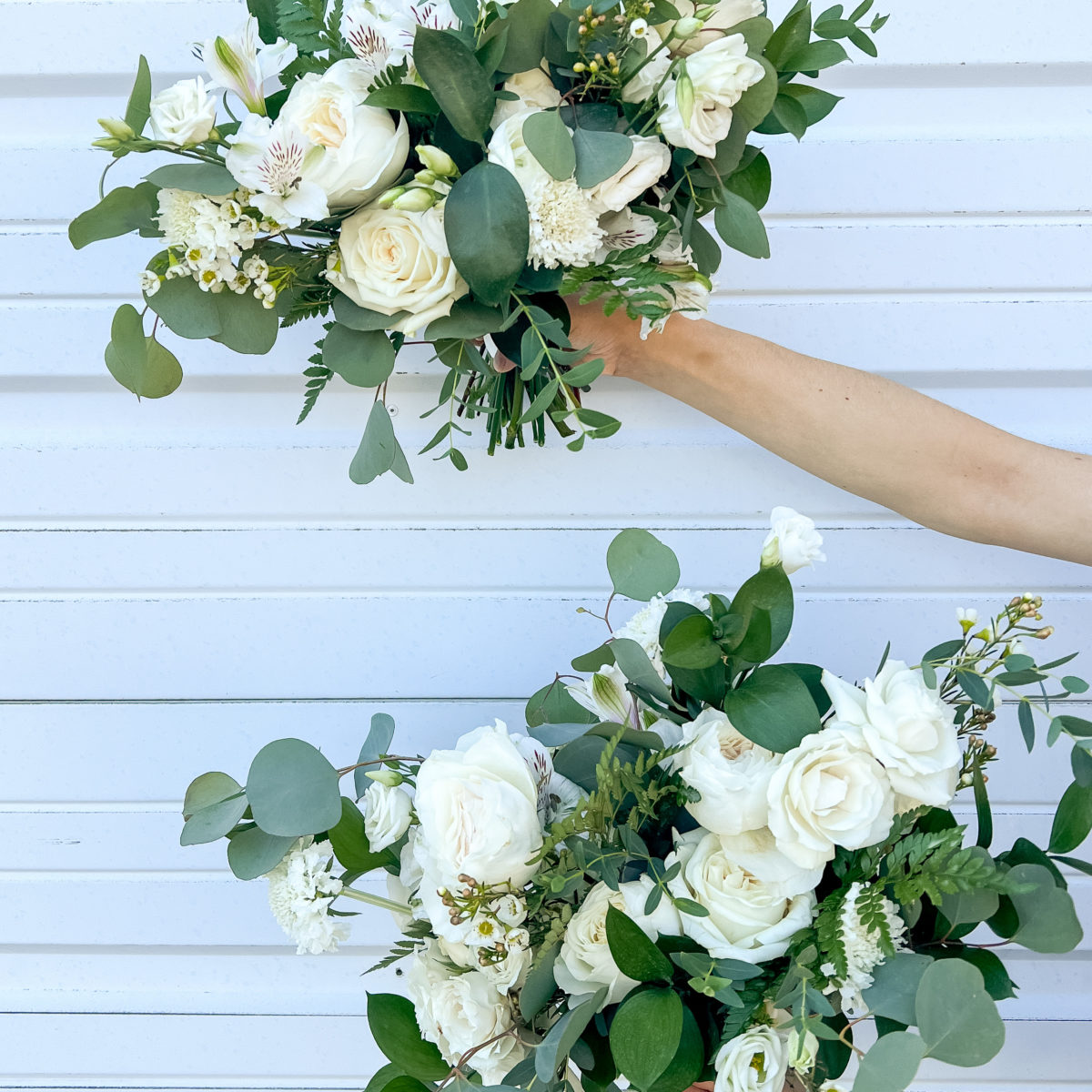 Home - Branching Out & Company